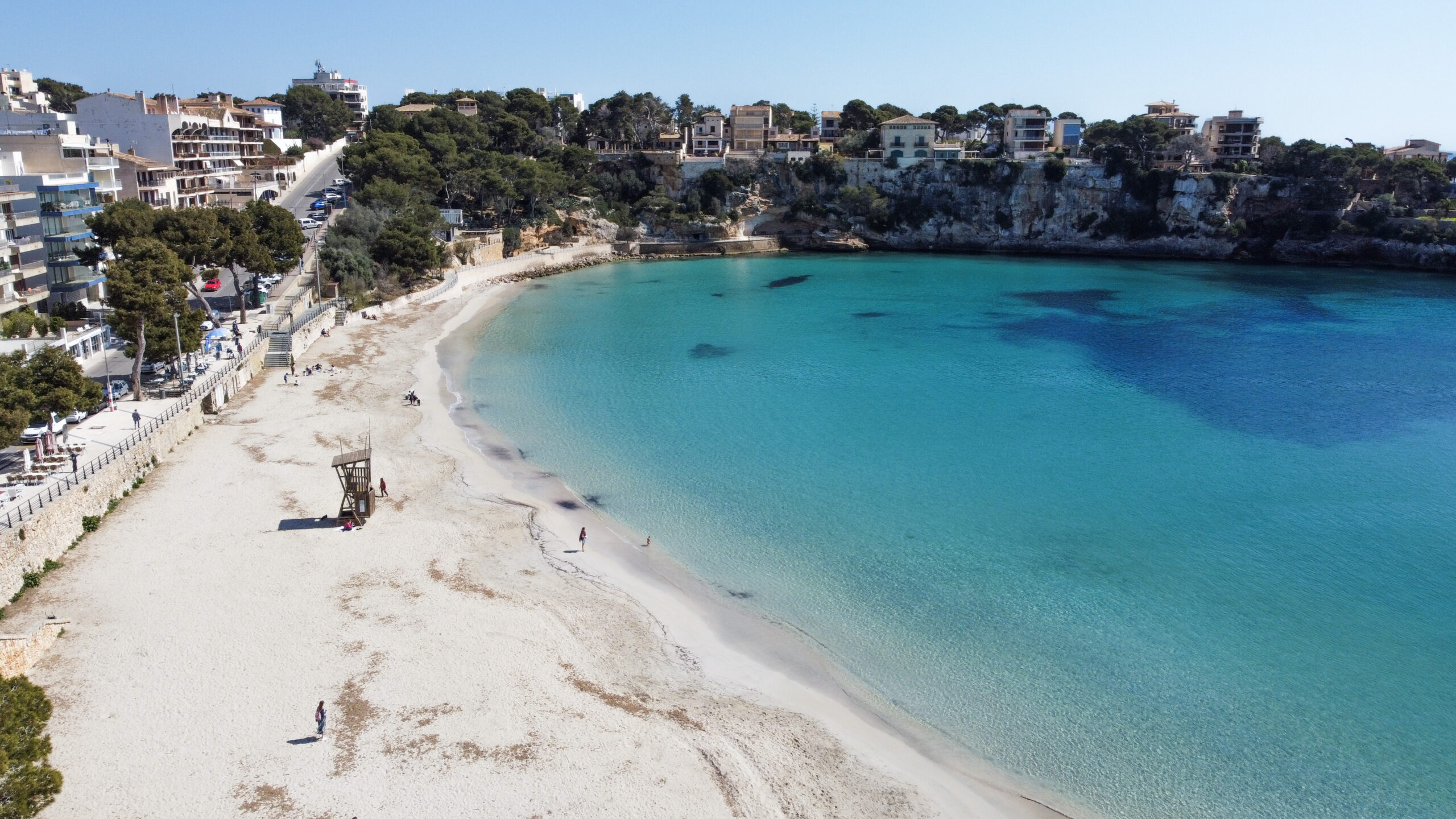 Dangerous animals in Majorca - dangers in Majorca.