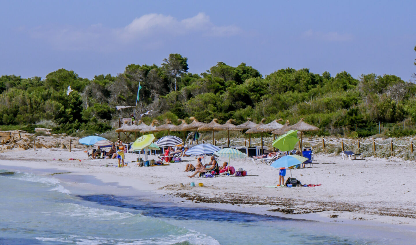 Playa des Dolc in Mallorca - idyllic beach in Mallorca